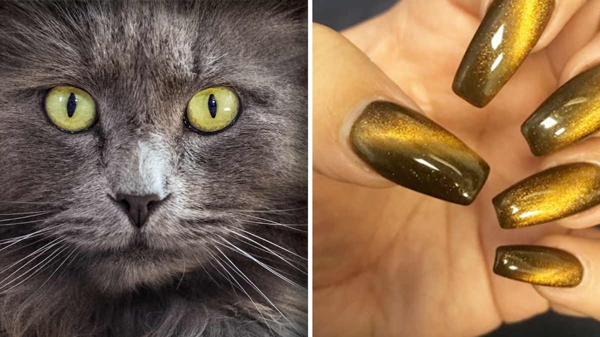 24 ways to do cat-eye nails