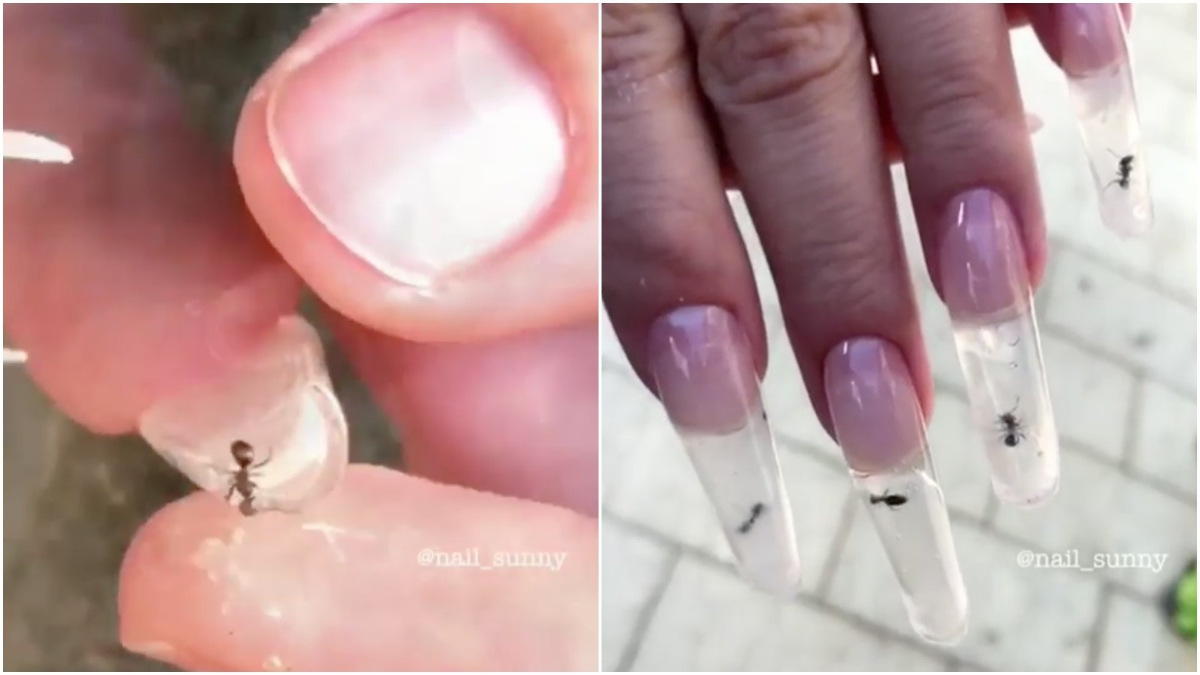 Live Ant Manicures Are The Newest Nail Art Trend