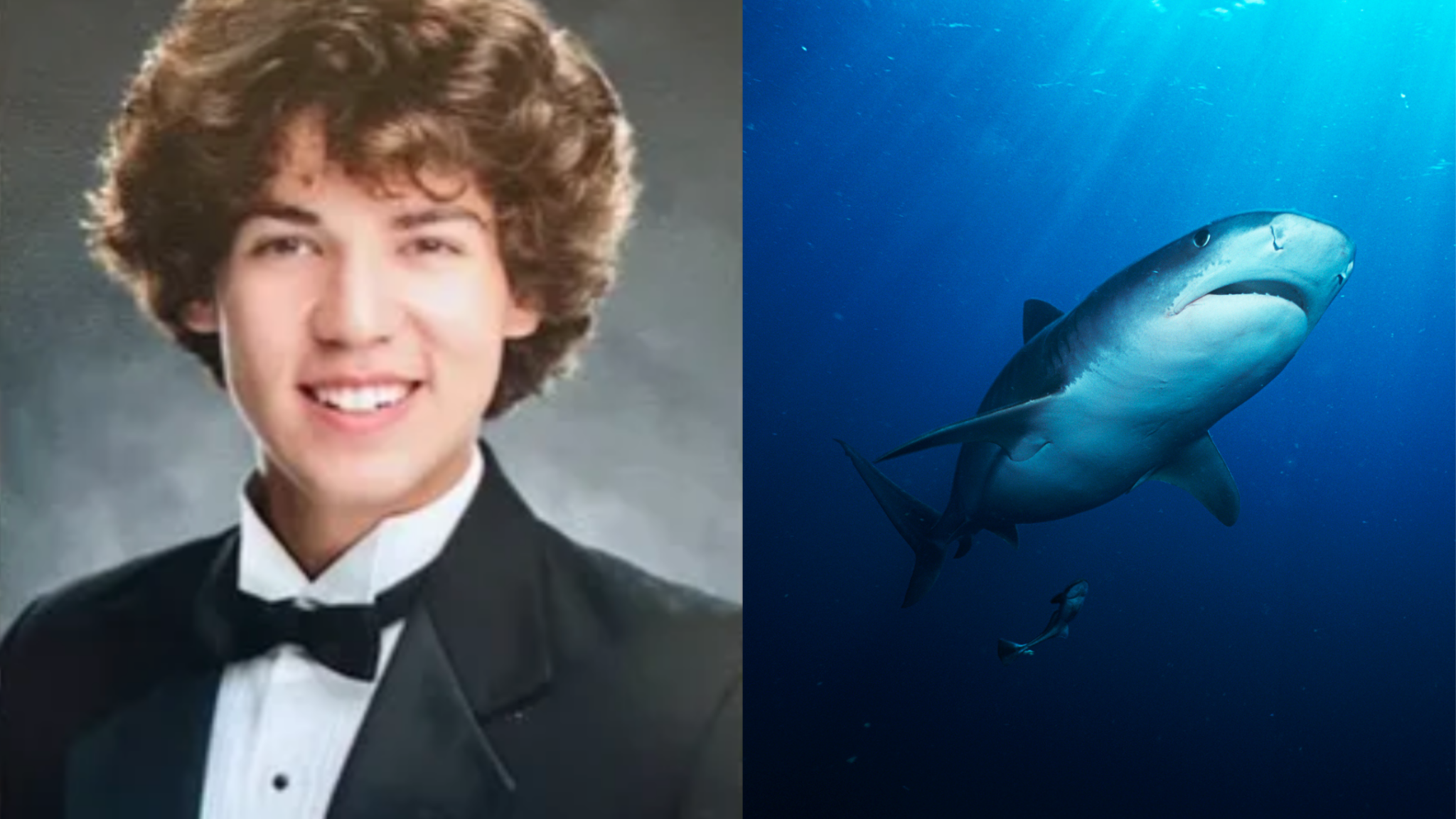 Shark Expert Says This is What Cameron Robbins' Last Moments Would Have ...