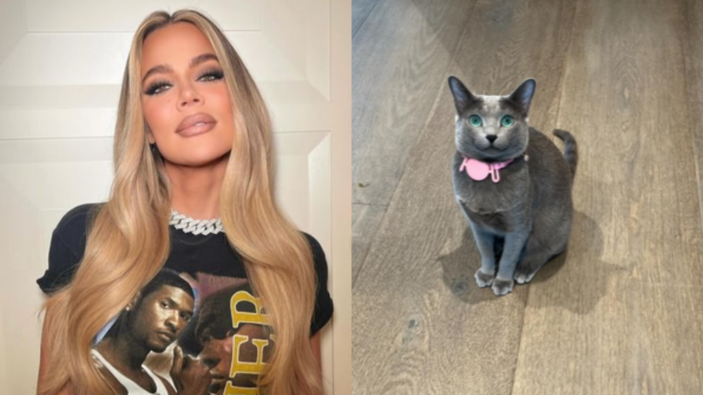 New Picture of Khloé Kardashian's Cat Has Fans Shaking Their Heads