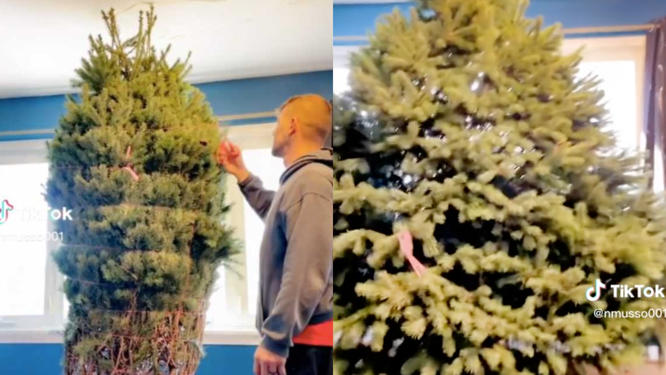 Dad Gets Knocked Over by Enormous Christmas Tree in Hilarious TikTok Video