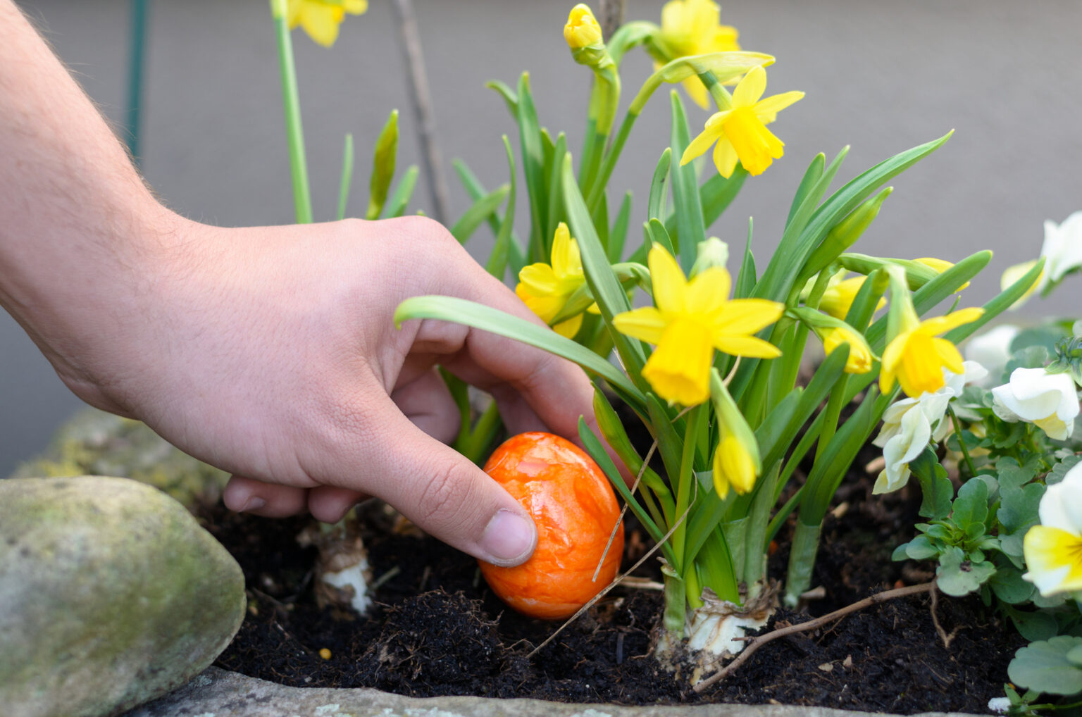 Best Easter Egg Hiding Spots Revealed!