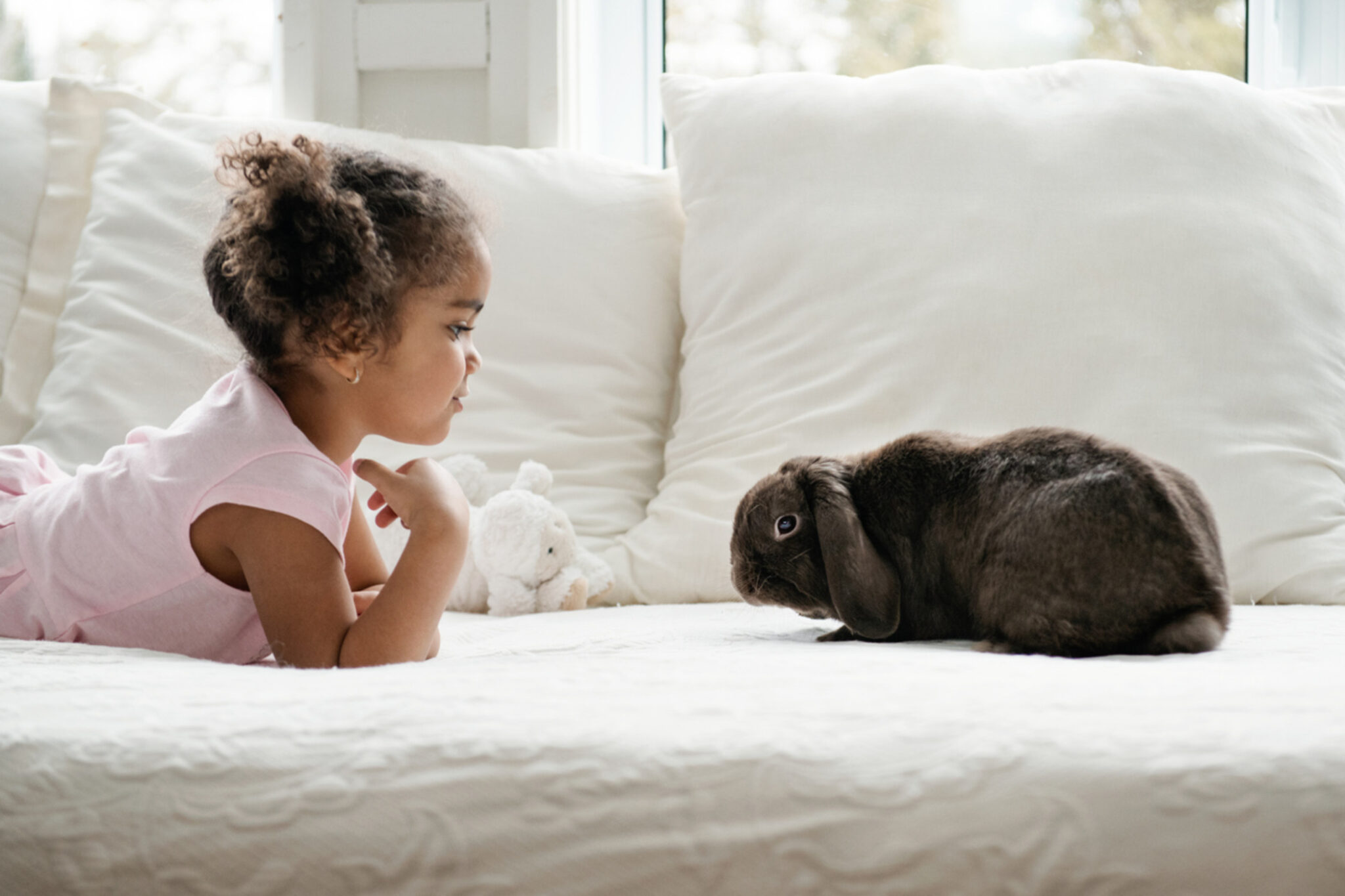 The 15 Best Pets for Small Spaces