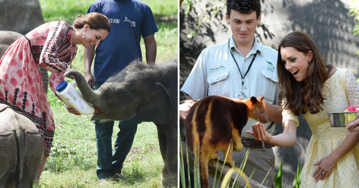 20 Times Kate Middleton Was Basically Dr. Dolittle