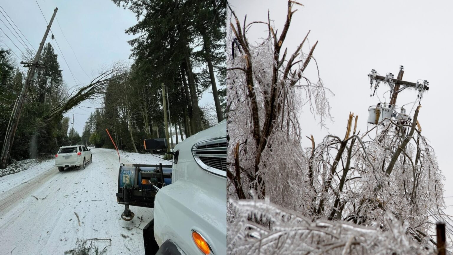 Toddler Survives After 2 Adults & a Teen Are Electrocuted by a Power ...