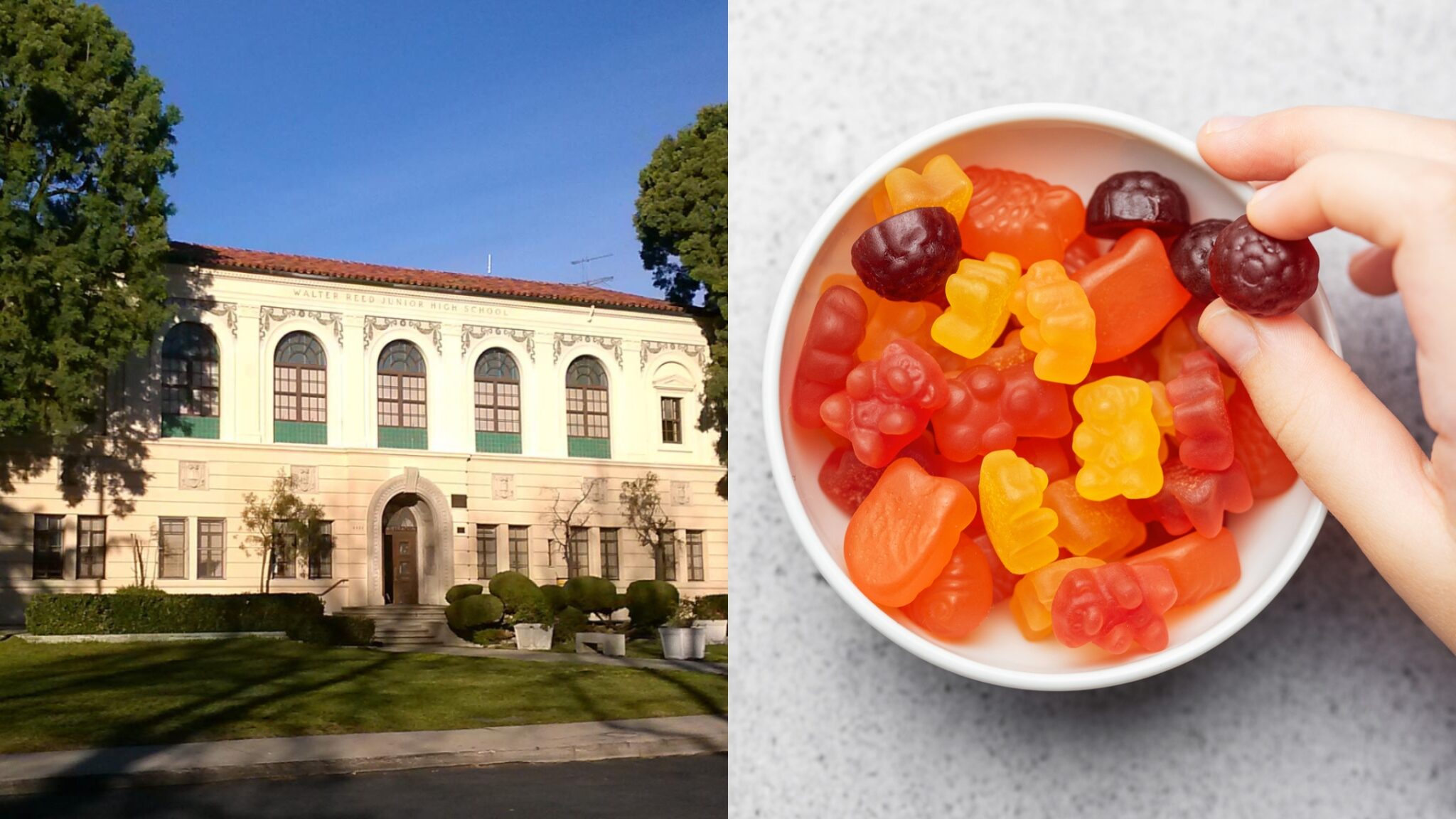 17 Middle Schoolers Ate Gummy Bears Laced With Mystery Drug