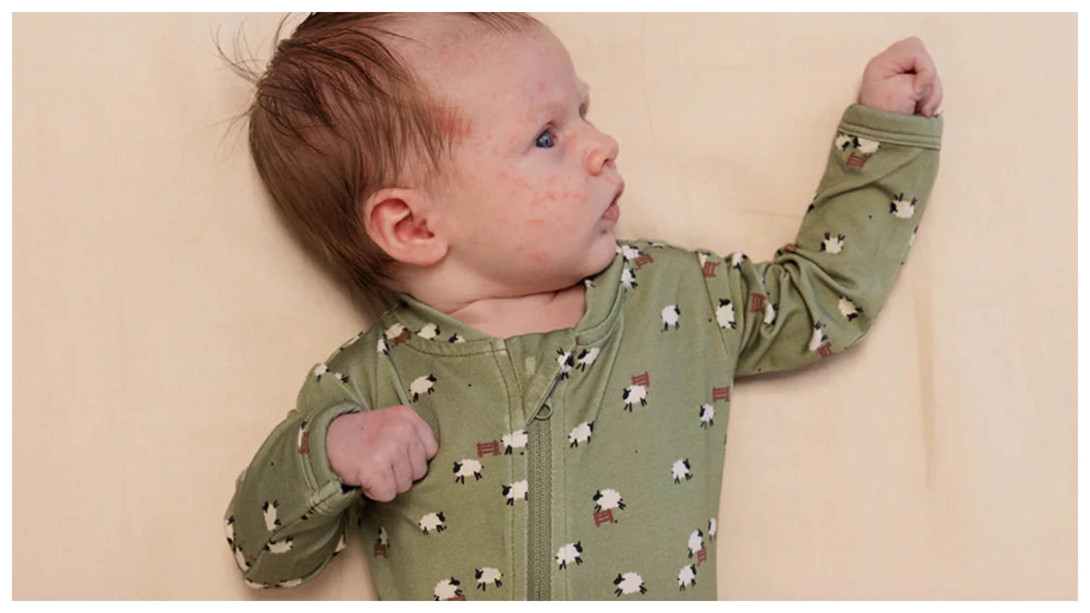 Great Gifts for Kids Who Are Obsessed With Animals