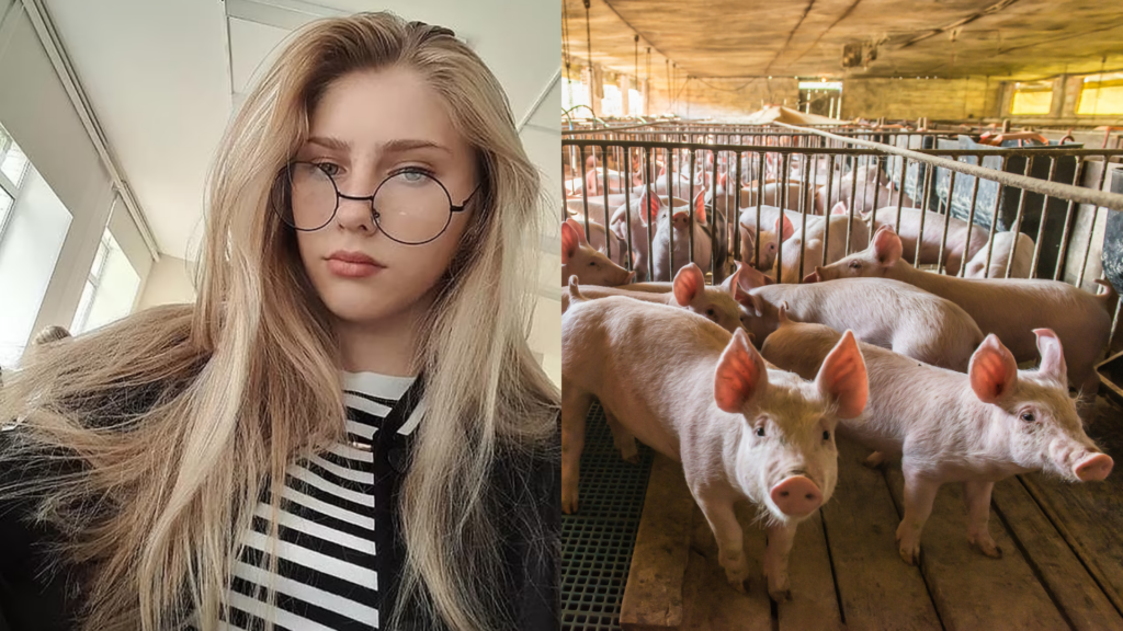 Teen Girl Mauled to Death by Her Pigs, Neighbor a Murder Suspect