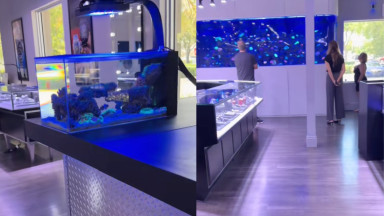 100 Best Rock Star Baby Names