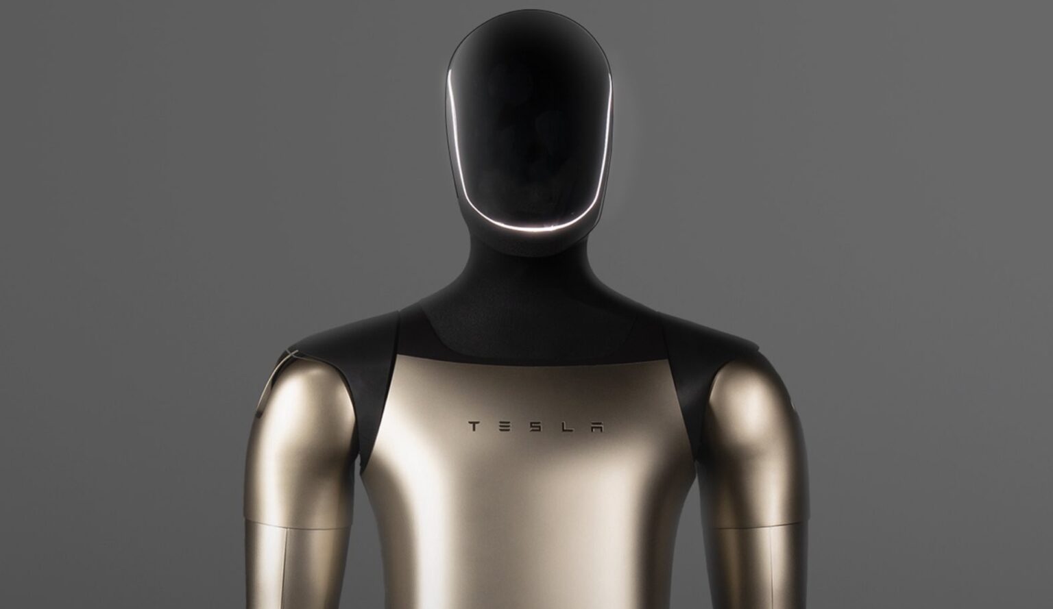 There Are Mixed Reactions About the Tesla Optimus Robot