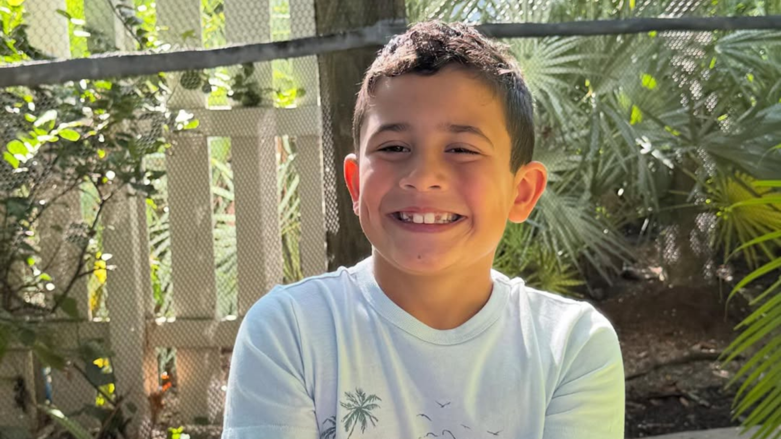Boy Dies After Being Hit by Tree That Fell at His School Playground